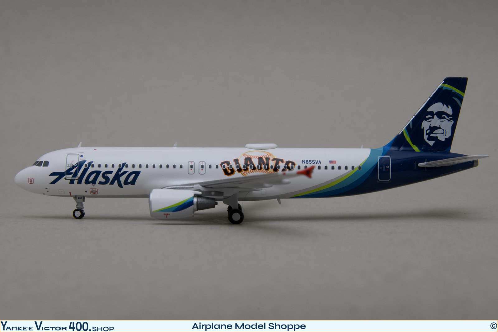 DSC_3604.jpg | MAF - Model Airliner Forum