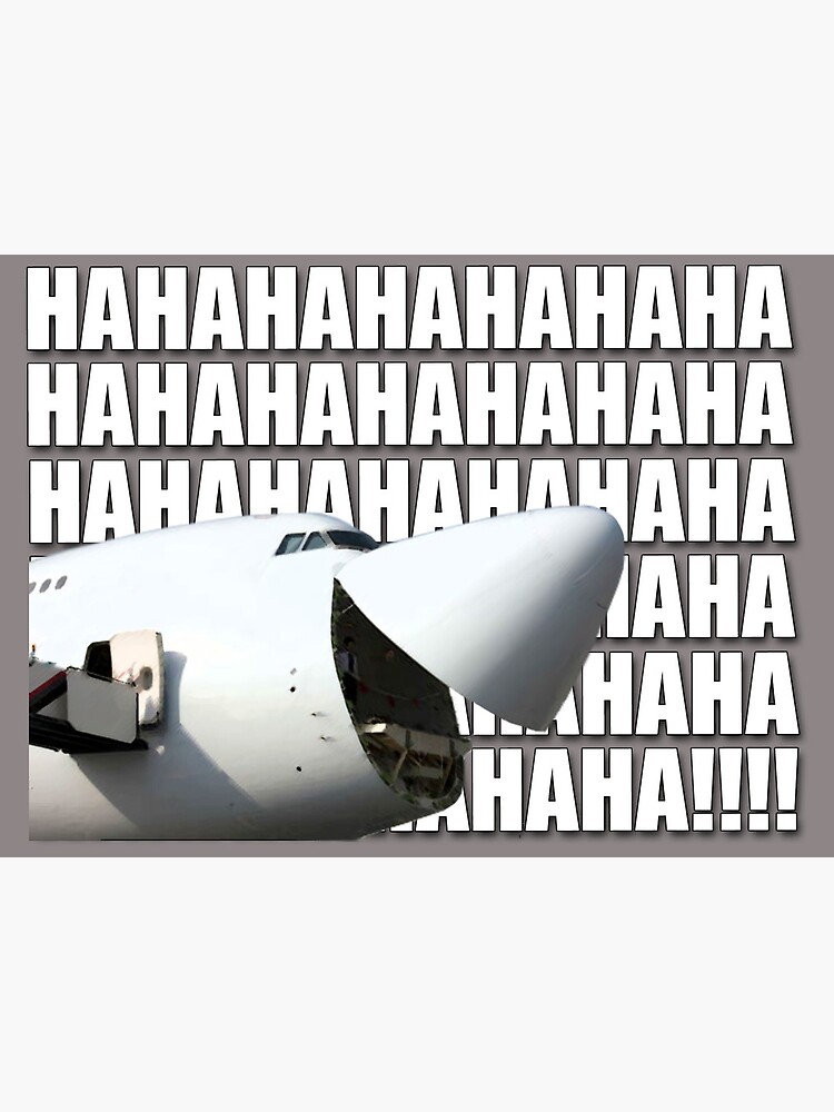 flat,750x,075,f-pad,750x1000,f8f8f8 (1).jpg | MAF - Model Airliner Forum