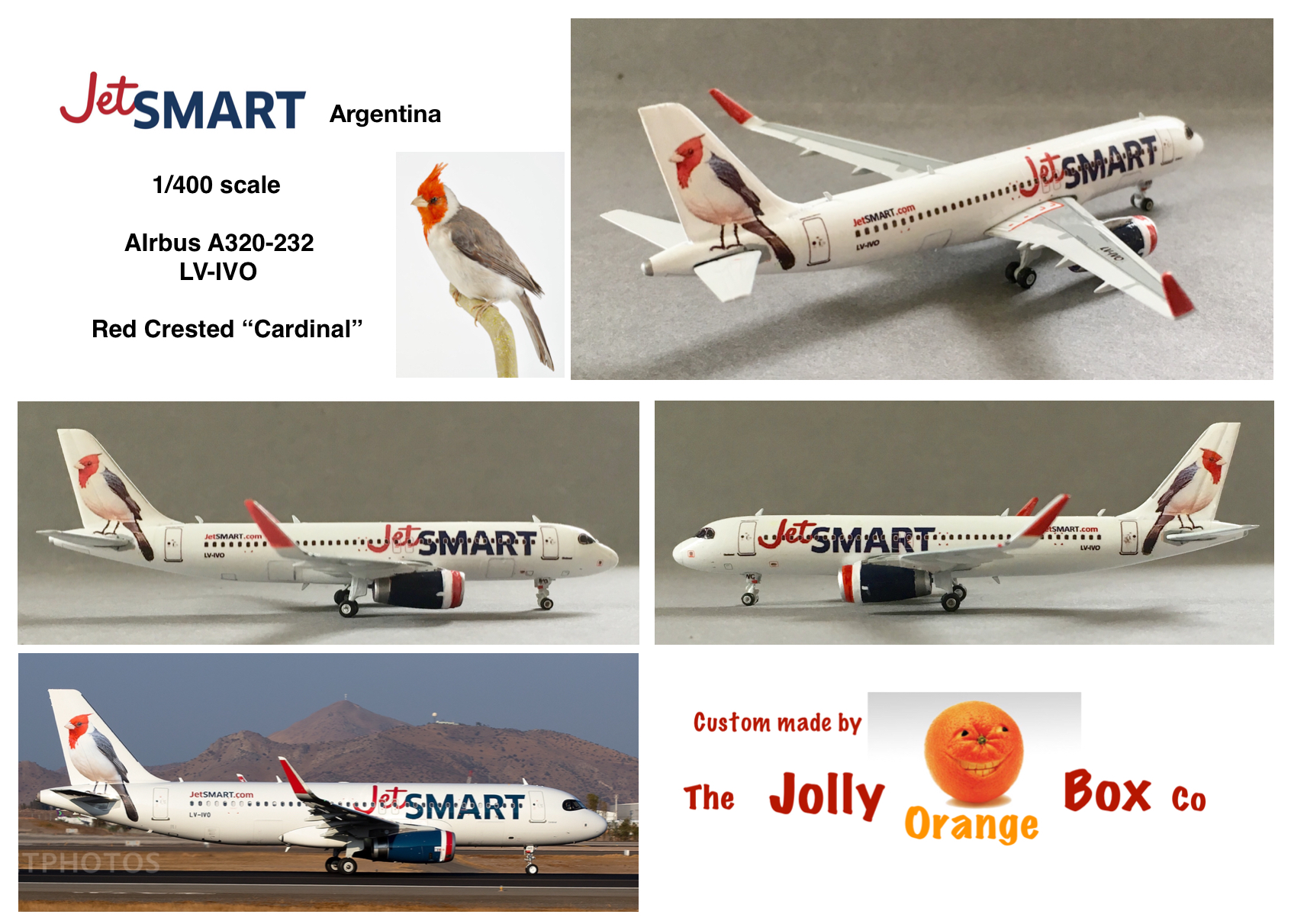 IMG_3845.jpeg | MAF - Model Airliner Forum